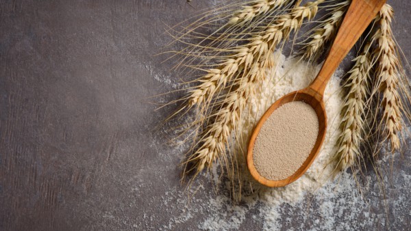 13 Rekomendasi Merk Ragi Instan Terbaik (Terbaru 2025) - CekList.ID