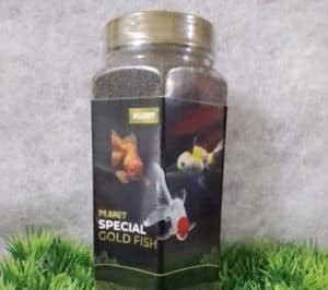 12 Rekomendasi Pelet Ikan Mas Koki Terbaik (Terbaru 2025) - CekList.ID