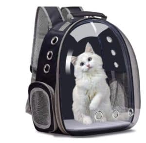 10+ Rekomendasi Tas Kucing Astronot Terbaik (Terbaru 2025) - CekList.ID